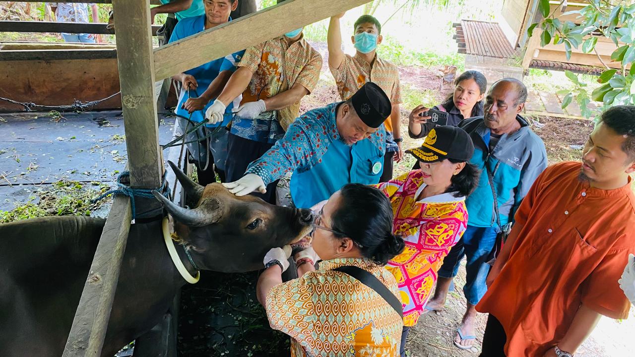 Hasil Pemeriksaan Ante-mortem Sapi di Dua Penyedia Hewan Kurban di ...
